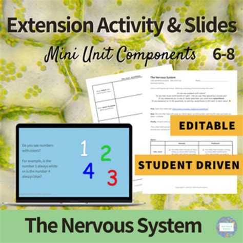 The Nervous System An Extension Activity About Synesthesia For Ms Ls1 8