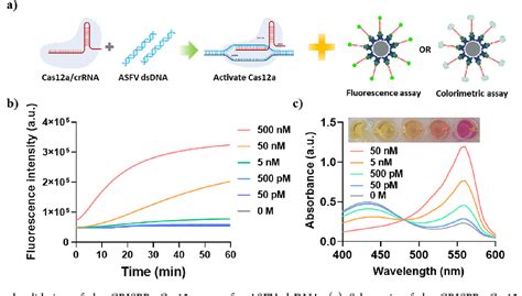 Figure 4 From Crispr Cas Assisted Colorimetric Biosensor For Point Of Use Testing For African