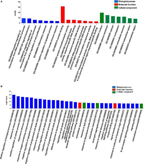 Go Analysis A Go Analysis And Significantly Enriched Go Terms Of