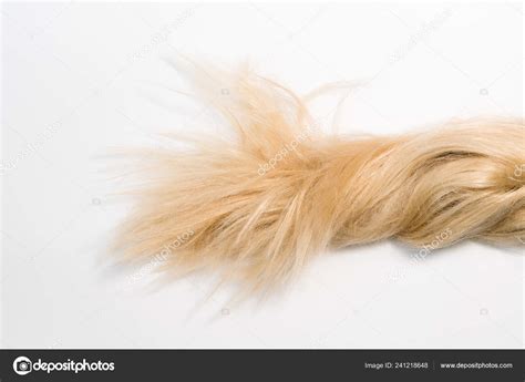 Blond Natural Hair Extensions Isolated White Background Clipping Patch