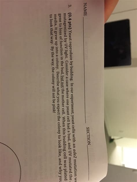 Solved Name Section 0 4 Pts Yeast Reproduce By Budding In
