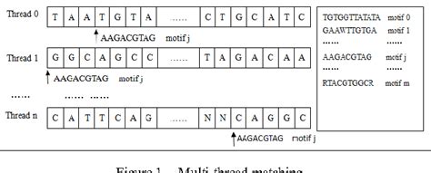 figure 1 from motif recognition parallel algorithm based on gpu semantic scholar