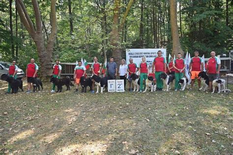 Над 80 кучета участваха в киноложка изложба във Вършец снимки