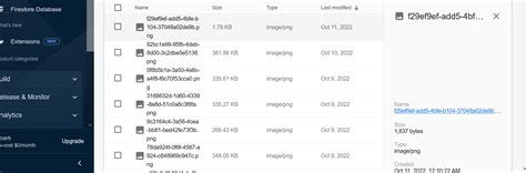 Firebase Web App Rfirebase