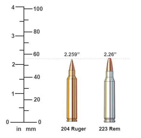 204 Ruger Vs 223 Remington How Do They Compare Target Sports Usa