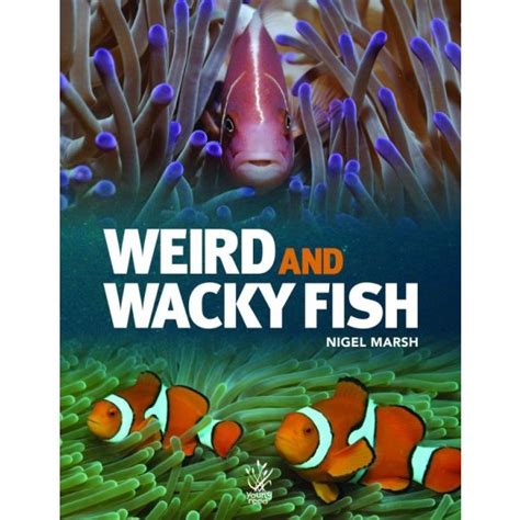 Weird And Whacky Fish