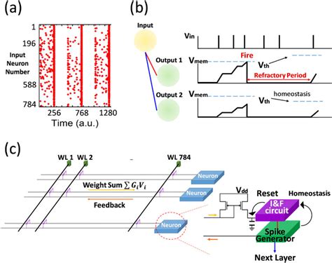 a raster plot of input pulses encoded temporally b dynamics of