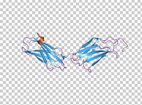 Fibronectin Integrin Glycoprotein Extracellular Matrix Png Clipart