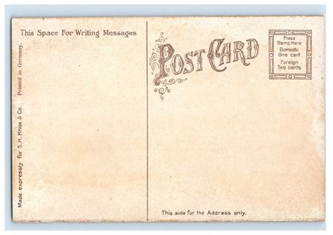 C1910 Ceader Point Boat Landing Ceader Point Ohio Postcard F35e United States Ohio Other