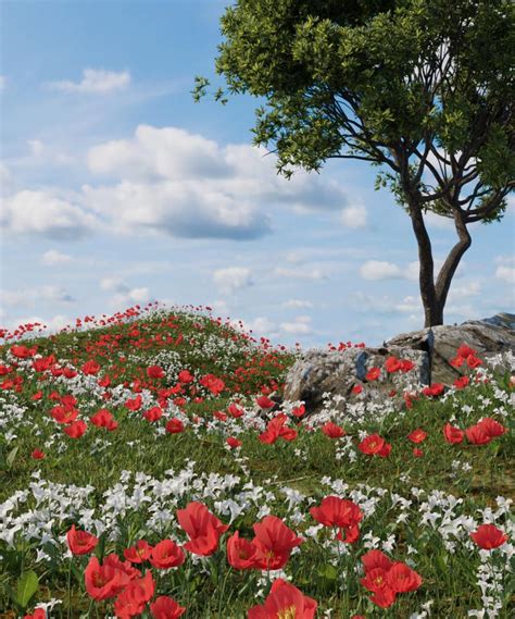 Sameer Shaik On Linkedin Harvest Of Colors Sameer