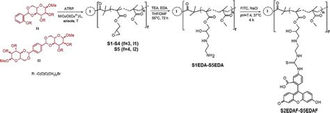 Scheme 1 Synthesis Of Star Shaped Copolymers With Methyl Download Scientific Diagram