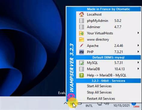 How To Install Wampserver In Windows 11 Windows 10 I Fix Problem