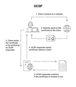 Solved Enterprise PKI OCSP Error