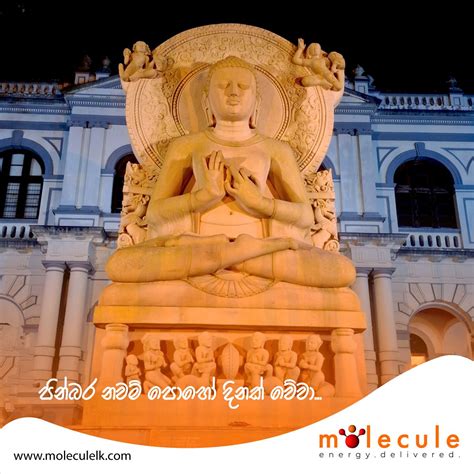 සියලු සිත් පහන් වන නවම් පොහෝ දිනක් වේවා Molecule Pvt Ltd