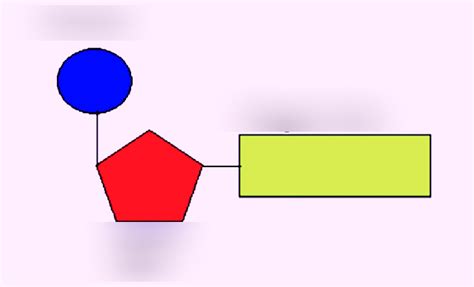 Biomed Unit 1 Diagram Quizlet