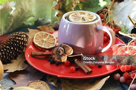 뜨거운 음료 딸기 호박 향신료 스카프 창의 배경에 단풍 한 잔 0명에 대한 스톡 사진 및 기타 이미지 0명 10월 가을