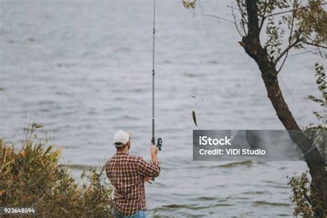다시 체크 무늬 셔츠와 모자를 꺼내서 관목과 갈 대 근처에서 호수에서 잡은 물고기와 낚 싯 대에에서 낚 싯 대와 이루어지지 젊은이 볼 생활양식 어 부 레저 개념입니다 경관에
