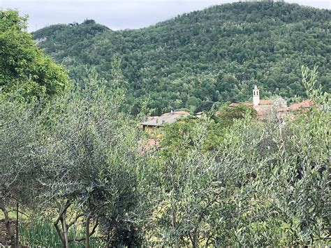 The 10 Best Things To Do In Mombello 2025 Must See Attractions