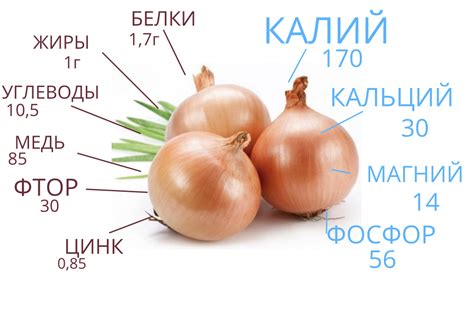 Лук польза вред и свойства овоща для организма человека