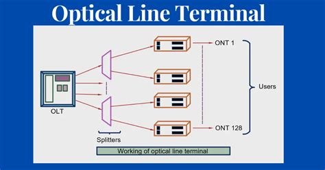 Optical Line Terminal Olt