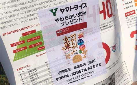暑い瑞穂試合前 くー太の雑感