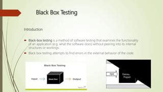 Black Box Testing By Laraib PPT