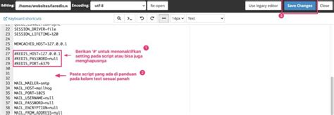 Panduan Setting Redis Laravel Di Hosting Domainesia