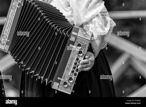 Woman Hands Playing On Accordion Stock Photo Alamy