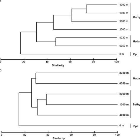 Hierarchical Clustering Based On Bray Curtis Similarity Calculated From