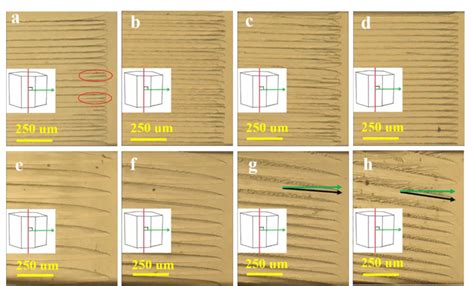 A D The Sl Interface Morphology Evolution With Increasing Pulling