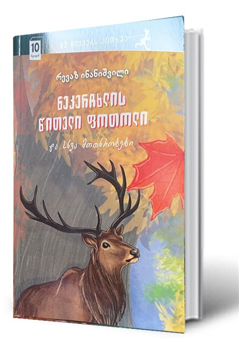 წიგნის მაღაზია სანტა ესპერანსა Bookshop Santa Esperanza ნეკერჩხლის