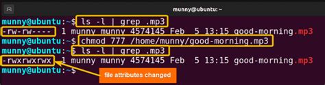 How To Change File Permissions In Linux Examples