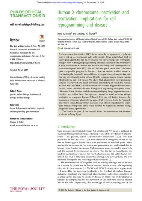 Pdf Human X Chromosome Inactivation And Reactivation Implications