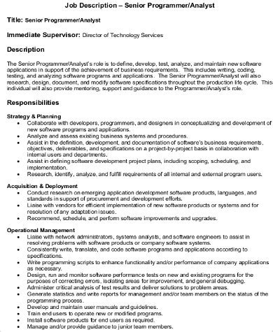 FREE 9 Programmer Analyst Job Description Samples In MS Word PDF