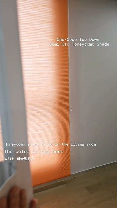 전실에서 들어서자 마자보이는 컬러감 넘치는허니콤쉐이드 😊😊🩷농성동롯데더리미티드 광주롯데더리미티드 광주블라인드 광주허니콤쉐이드 광주암막커튼광주쉬폰커튼하늘빛창가