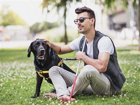 What Causes Temporary Blindness In Dogs