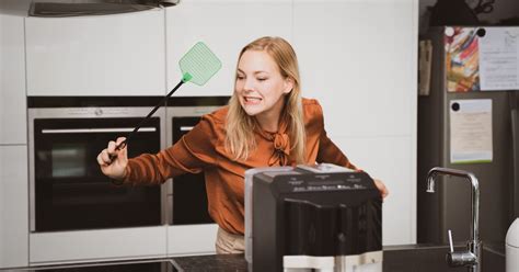 What To Do If Pests Return After DIY Pest Control