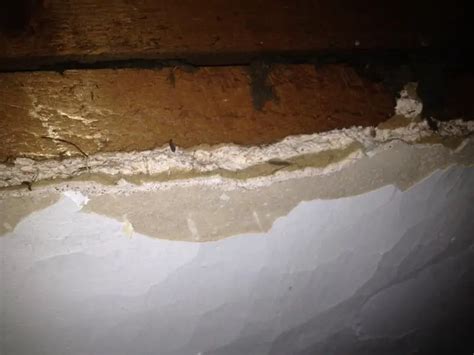 Asbestos In Old Plasterboard Diynot Forums