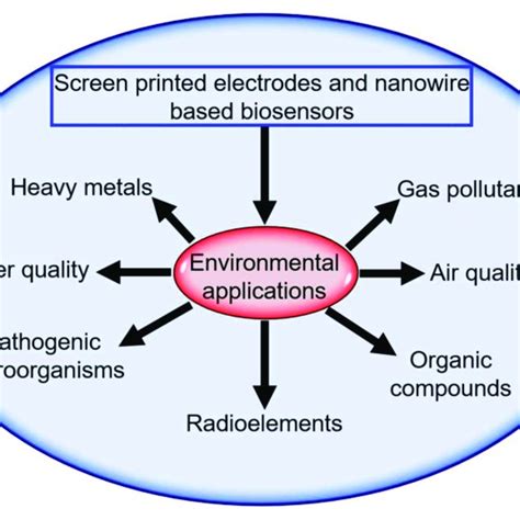 Scheme Of An Electrochemical Biosensor Biological Sensing Elements Are Download Scientific