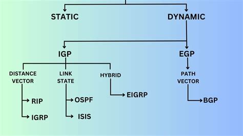 Routing Protocols