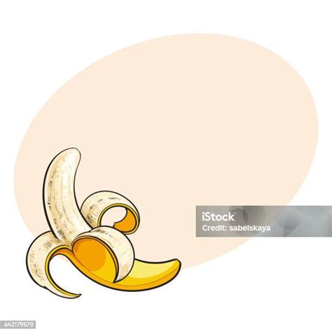 한 오픈 벗 겨 익은 바나나 스케치 스타일 벡터 일러스트 레이 션 3가지 개체에 대한 스톡 벡터 아트 및 기타 이미지 3가지 개체 건강한 식생활 과일 Istock