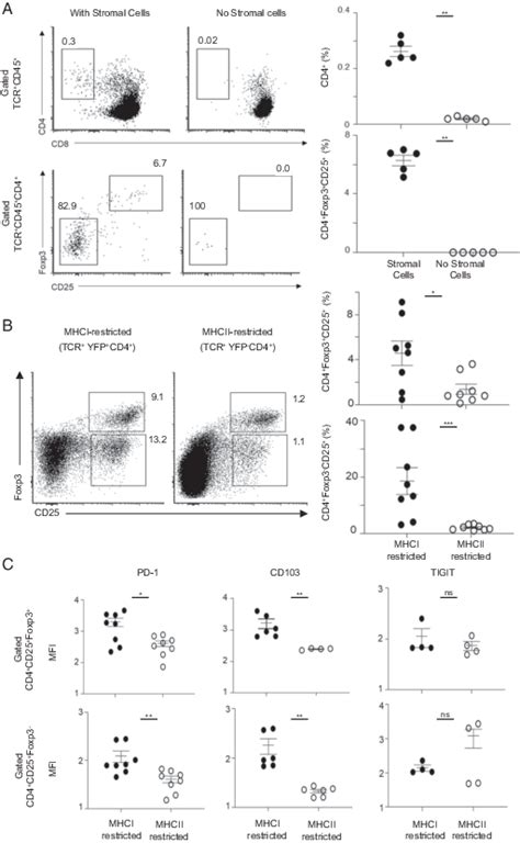 Lymph Node Stromal Cellintrinsic Mhc Class Ii Expression Promotes Mhc