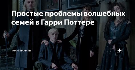 Простые проблемы волшебных семей в Гарри Поттере Омут памяти Дзен