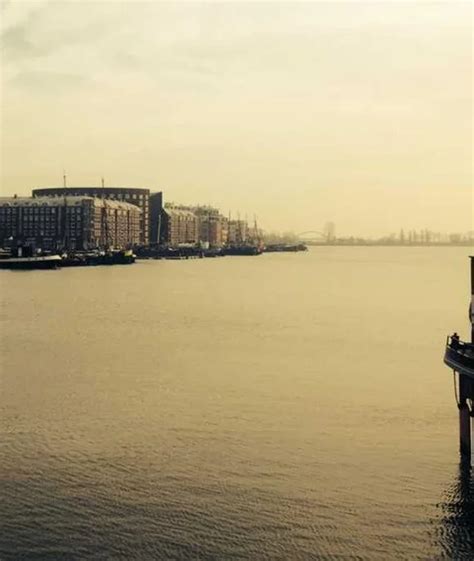 에코프로 주가 전망 알아봐요