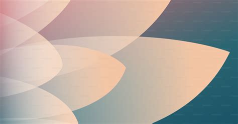 파란색과 분홍색 배경에 흰색 꽃 벡터 Unsplash의 벽지 이미지