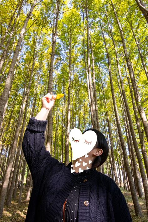 경주 도리마을 은행나무 사진찍기좋은곳 당일치기 여행 네이버 블로그