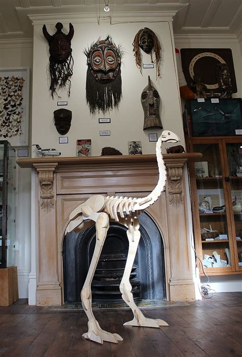 Dunedin Museum Of Natural Mystery Wikiwand