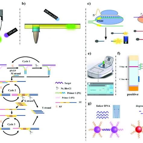 The Characteristics Of Cas9 Cas12 Cas13 And Cas14 Download
