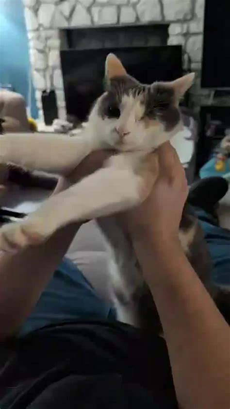 Likelihood Of Death By Jasmne Is Low But Never Zero Album On Imgur